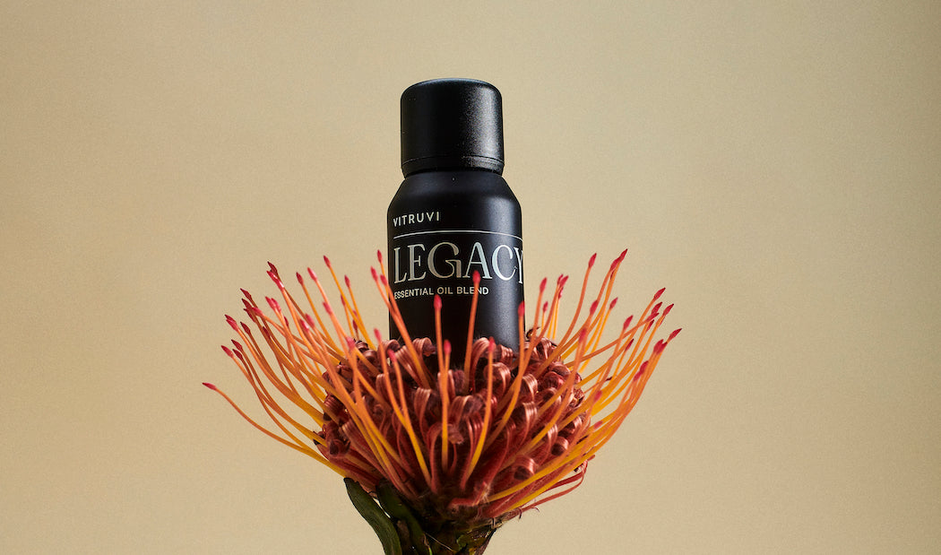 A New Legacy – Vitruvi