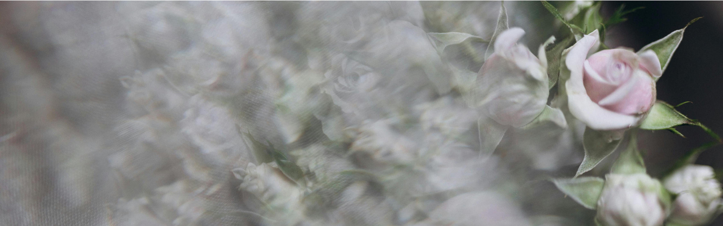 Comfort Diffuser Blend – Vitruvi