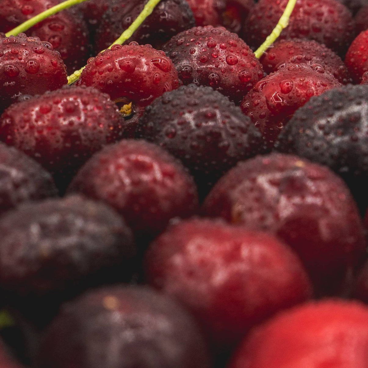 Sweet Cherry Drive Scent Refill – Vitruvi