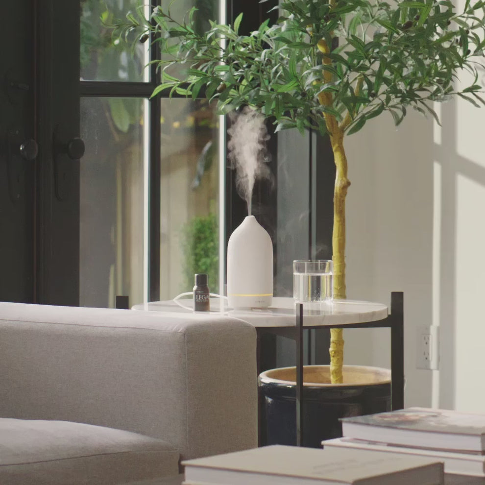 Diffuser Starter Bundle – Vitruvi